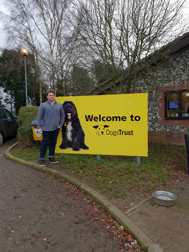 Spreading some Christmas Joy and donating to The Dogs Trust - Bear Credit